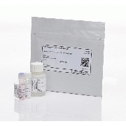 QUANT-IT PICOGREEN DSDNA 1 KIT，P7589，Invitrogen 供应商、价格、厂家、报价、规格参数