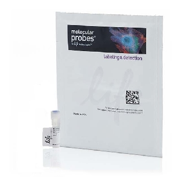 CELLMASK GREEN PM STAIN 100 µL，C37608，Invitrogen 供应商、价格、厂家、报价、规格参数